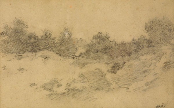 Arthur Briët, digitale expositie van Nunspeet.Net